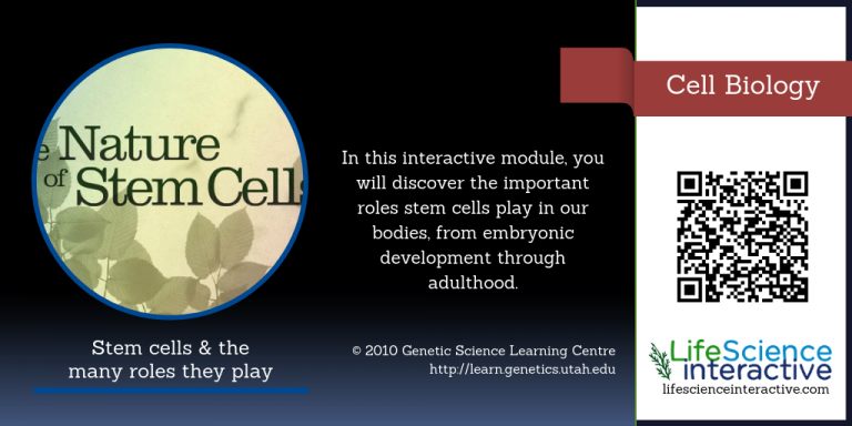 Life Science Interactive – Learning Resources for the Life Sciences