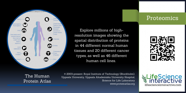 The Human Protein Atlas – Life Science Interactive